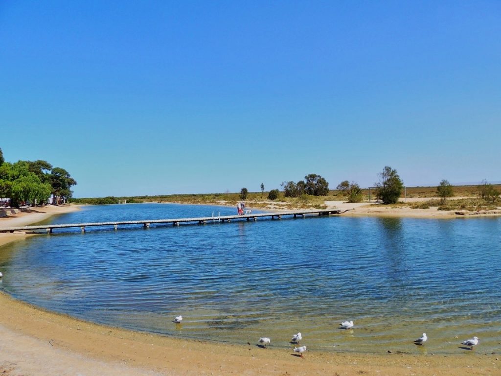 Aquatics – Swimming and Surfing | Scouts SA Q-Store