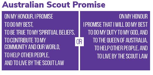 Promise and Law | Scouts SA QStore