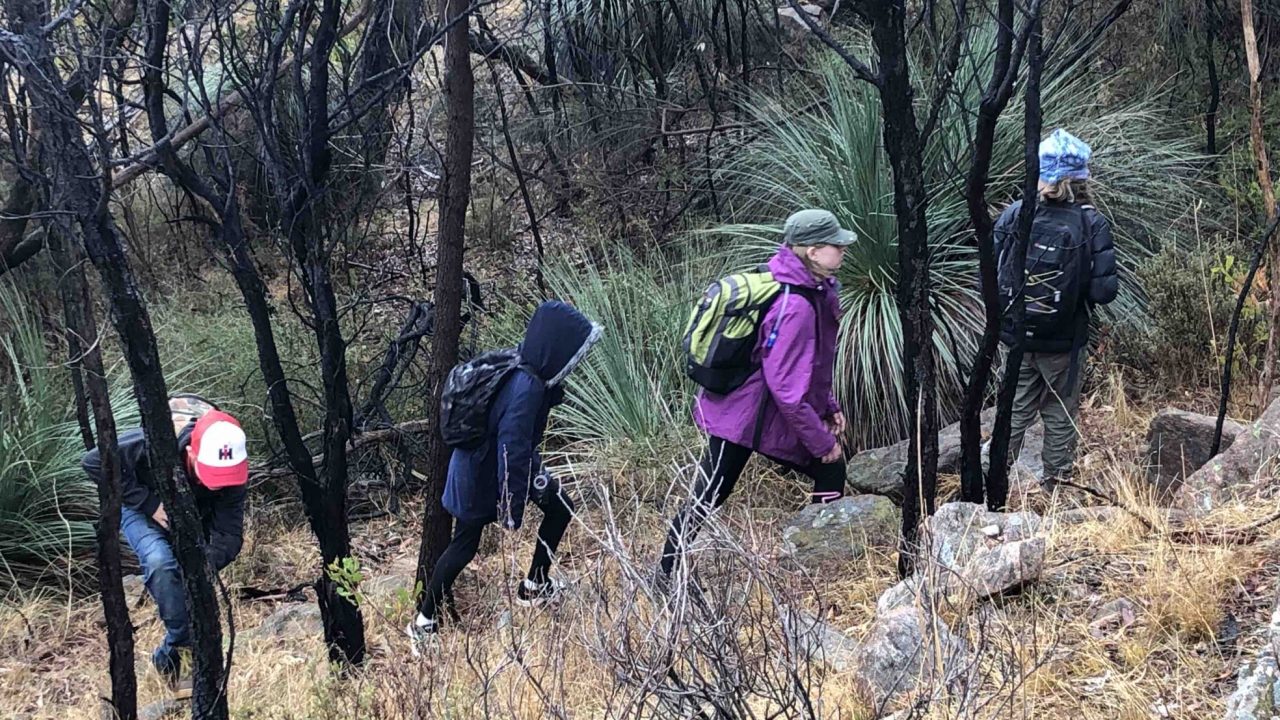 Bushwalking | Scouts SA Q-Store