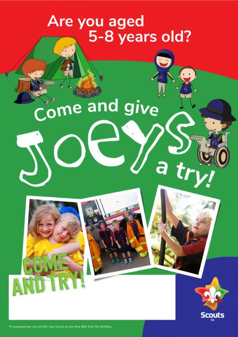 Jump Start Your Joey Scouts | Scouts SA Q-Store